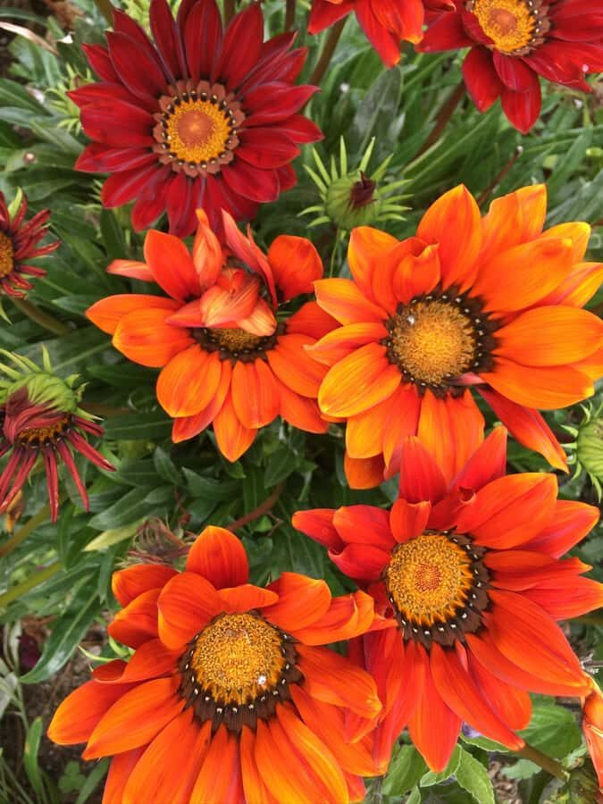 Garden Paths and Architectural Gems - What We Loved About This Tour