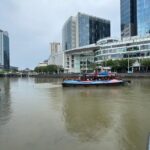 Garden Rhapsody, Spectra Show & Singapore River Cruise Night Tour - Authentic Experiences & Authenticity