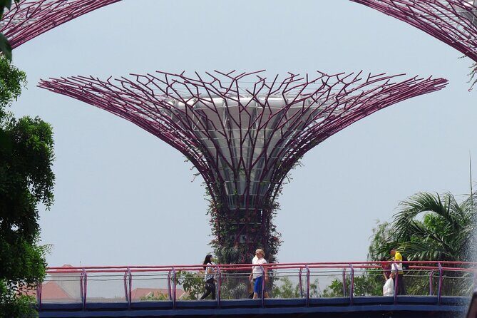 Gardens by the Bay Entry Ticket - The Practical Details
