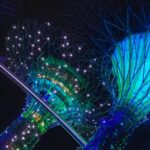 Gardens by the Bay Singapore combo - Who Should Consider This Tour?