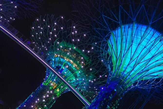 Gardens by the Bay Singapore combo - Who Should Consider This Tour?