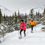 Gaspésie: National Park Entry Ticket with Snowshoe Rental - Final Thoughts: Is It Worth It?