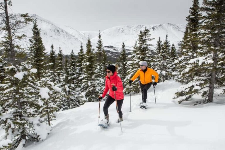 Gaspésie: National Park Entry Ticket with Snowshoe Rental - Final Thoughts: Is It Worth It?