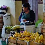 Gastronomic Route in the Root and Flavor Market - Who Will Love This Experience?