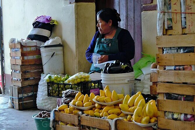 Gastronomic Route in the Root and Flavor Market - Who Will Love This Experience?