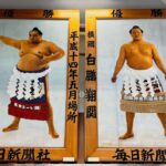 Geisha & Sumo Culture: Tokyo Walking Tour 3 Hrs - What Makes This Tour Valuable?