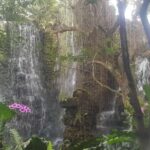 Gems of Chiangmai: Dantewada, Wat Ban den, Sticky Waterfall - Who Is This Tour Best For?