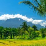 Genggelang Waterfalls Eco-Adventure Trek in North Lombok - What to Expect During Your Day