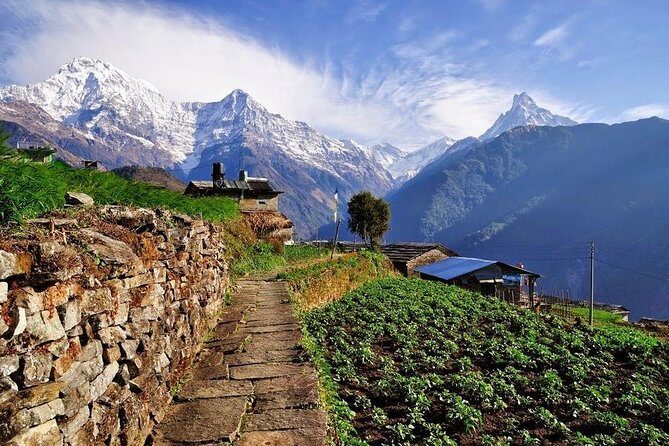 Ghorepani Poonhill Trek 5 Days from Pokhara - Transportation, Group Size, and Timing