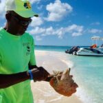 Gibbs Cay Stingray and Conch Dive Adventure - Who Should Book This Experience?