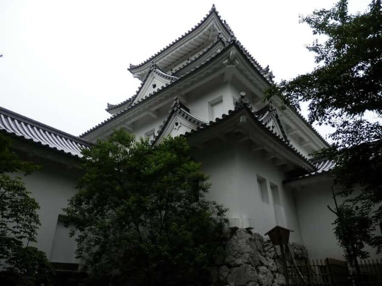 Gifu: Sekigahara and gaki Guided Tour by Train & Walk - Breaking Down the Itinerary