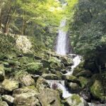 Gifu: Yoro Unforgettable Walkable Artwork - Who Will Love This Experience?