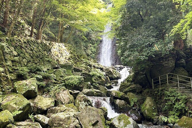 Gifu: Yoro Unforgettable Walkable Artwork - Who Will Love This Experience?