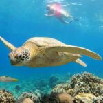 Gili Air : PRAIVATE & SHARING Snorkeling Tour+Gopro Shooting - The Sum Up