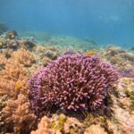 Gili Air: Private 3-Hour Snorkeling Tour with Photo Shoot - The Itinerary Breakdown