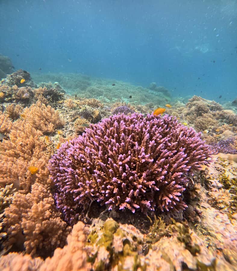 Gili Air: Private 3-Hour Snorkeling Tour with Photo Shoot - The Itinerary Breakdown