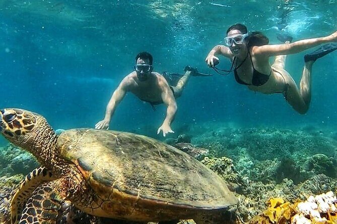 Gili Air : Private Snorkeling with 4 spots - Who Will Love This Tour?