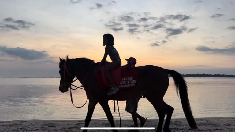 Gili Air: Private Sunrise or Sunset Horse Riding Tour - What to Expect During Your Ride