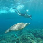 Gili Air Share Snorkeling Tour With GOPRO Documentation - Practical Details & What It Means for You
