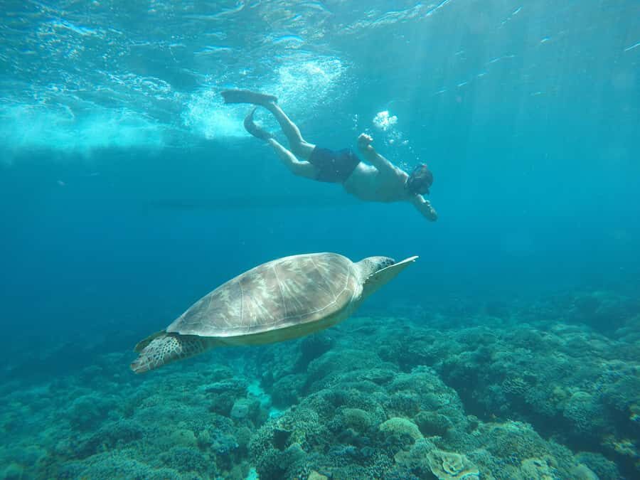 Gili Air Share Snorkeling Tour With GOPRO Documentation - Practical Details & What It Means for You