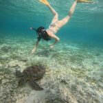 Gili Air: Sharring Snorkeling Experience by Boat - The Itinerary and What to Expect