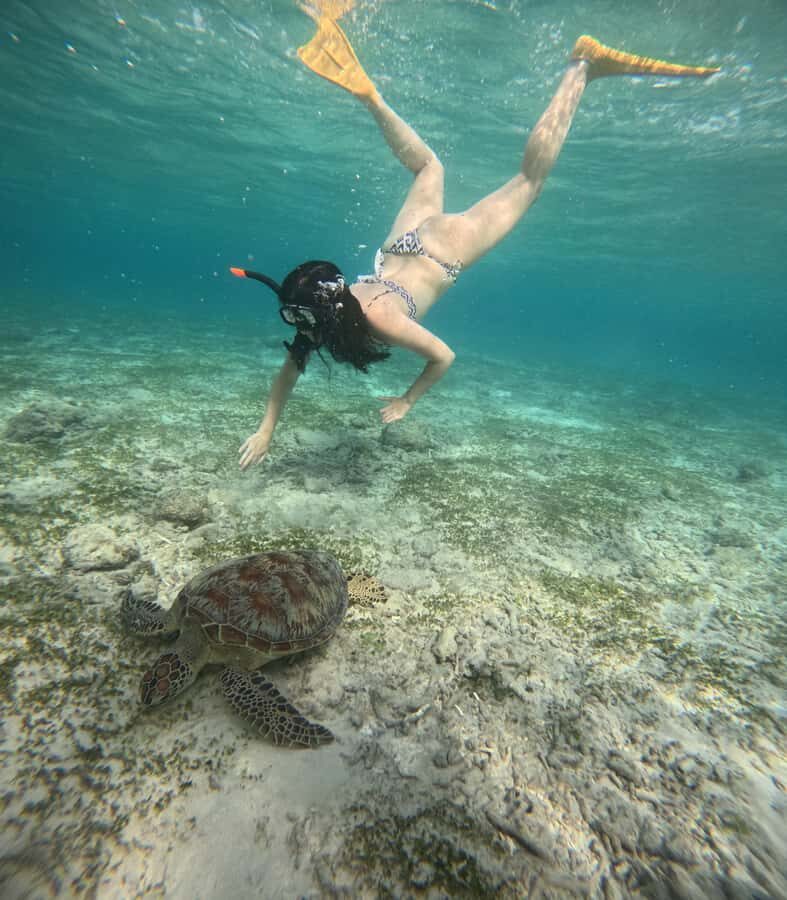 Gili Air: Sharring Snorkeling Experience by Boat - The Itinerary and What to Expect