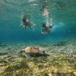 Gili Air: Small-Group Snorkeling Tour with GoPro - Who Should Consider This Tour?