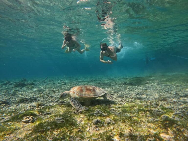 Gili Air: Small-Group Snorkeling Tour with GoPro - Who Should Consider This Tour?
