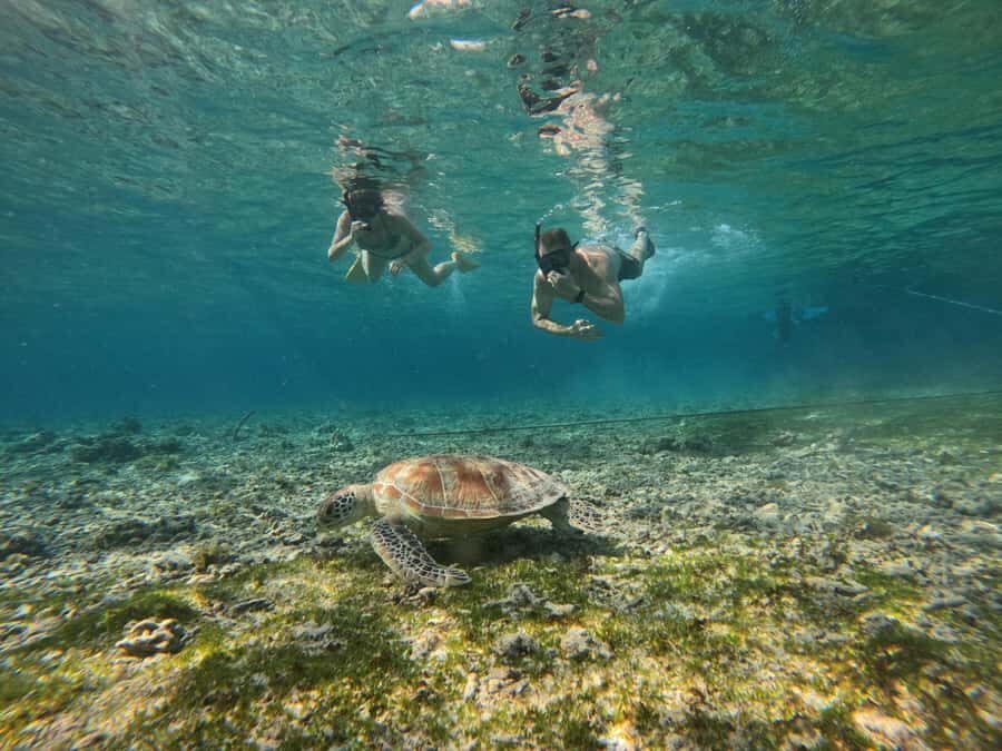 Gili Air: Small-Group Snorkeling Tour with GoPro - Who Should Consider This Tour?