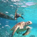 Gili Islands: Private or Shared Snorkeling Boat Trip - The Itinerary: What to Expect from Start to Finish
