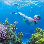 Gili Islands Snorkeling Adventure - The Itinerary: What Makes This Tour Special