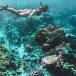 Gili Islands: Snorkeling Tour with Turtles and Statues - The Practicalities: Transportation, Timing, and Group Size