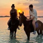Gili Meno: 1-Hour Beginner Horse Riding Experience - Why This Tour Might Be Perfect for You