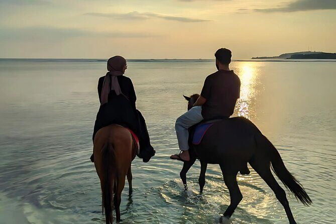 Gili Meno Horse Riding Adventure on the Beach for 1 Hour - Who Should Consider This Experience?