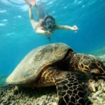 Gili Snorkeling Tour With GO PRO Documentation - Itinerary Breakdown: What to Expect