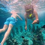 GILI T : PRIVATE SNORKELING TRIP 5 HOURS 3 GILI - The Itinerary: What to Expect from This 5-Hour Private Snorkeling Trip