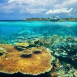 Gili Ticket Transfer and back to bali for the next day - Final Thoughts