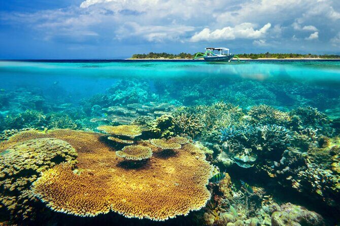 Gili Ticket Transfer and back to bali for the next day - Final Thoughts