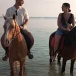 Gili Trawangan: Horse Riding on the Beach - Authentic Experiences and Real Traveler Feedback