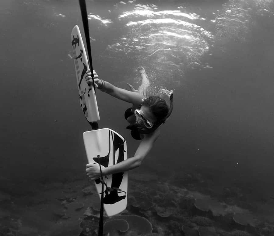 GILI TRAWANGAN : SUBWING GILI ISLAND - The Experience for Different Types of Travelers