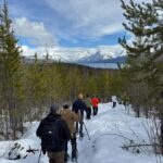 Glacier National Park: Combo Driving Tour + Snowshoe Trek - What Makes This Tour Stand Out?