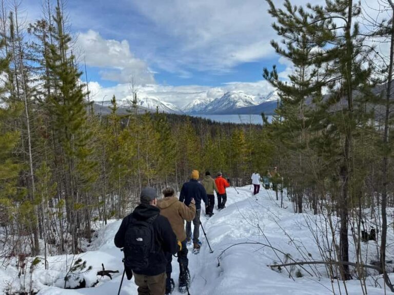 Glacier National Park: Combo Driving Tour + Snowshoe Trek - What Makes This Tour Stand Out?
