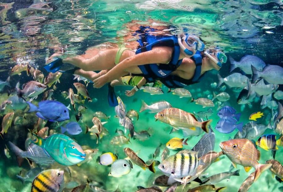 Glass Boat Adventure In Punta Cana - The Value Call: Is It Worth It?