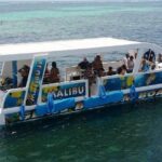 Glass Bottom Boat in Punta Cana - The Itinerary Breakdown: What You’ll Do and See