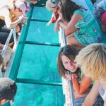 Glass Bottom Boat public & private in Punta Cana - Practical Details: Making the Most of Your Trip