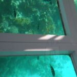 Glass Bottom Boat Water Activity in Montego Bay Jamaica - The Experience: What to Expect on the Glass Bottom Boat Tour
