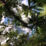 Glide into adventure: Hiking and natural slides - Why the Reviews Love It