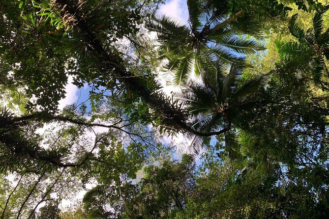 Glide into adventure: Hiking and natural slides - Why the Reviews Love It