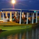 Glistening Waters Luminous Lagoon Boat Tour in Falmouth Jamaica - What Past Travelers Say