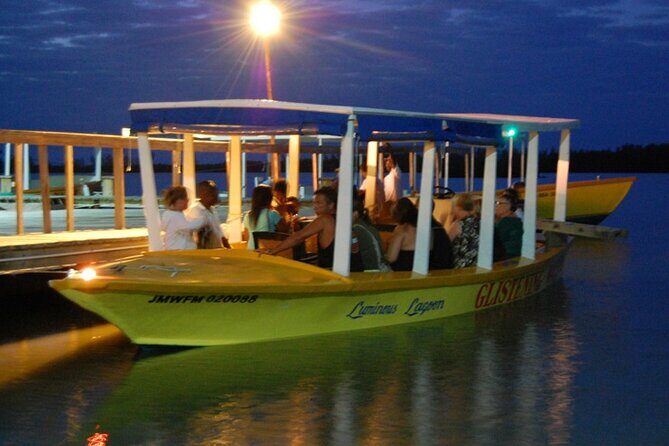 Glistening Waters Luminous Lagoon Boat Tour in Falmouth Jamaica - What Past Travelers Say